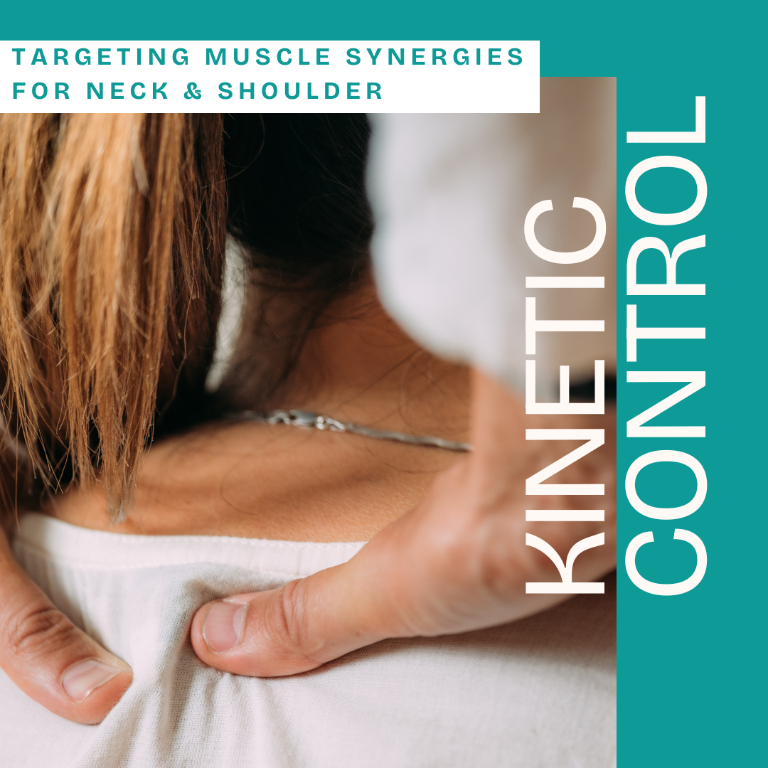 KC Online: Muscle Synergies of the Neck & Shoulder - Comera Store